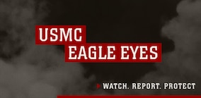 3rd Marine Division > Resources > Command Inspector General